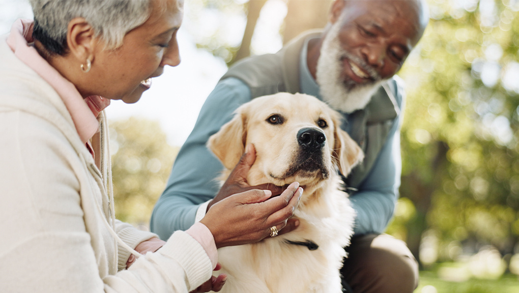 How the Joys of Pet Ownership Can Help Boost Brain Health