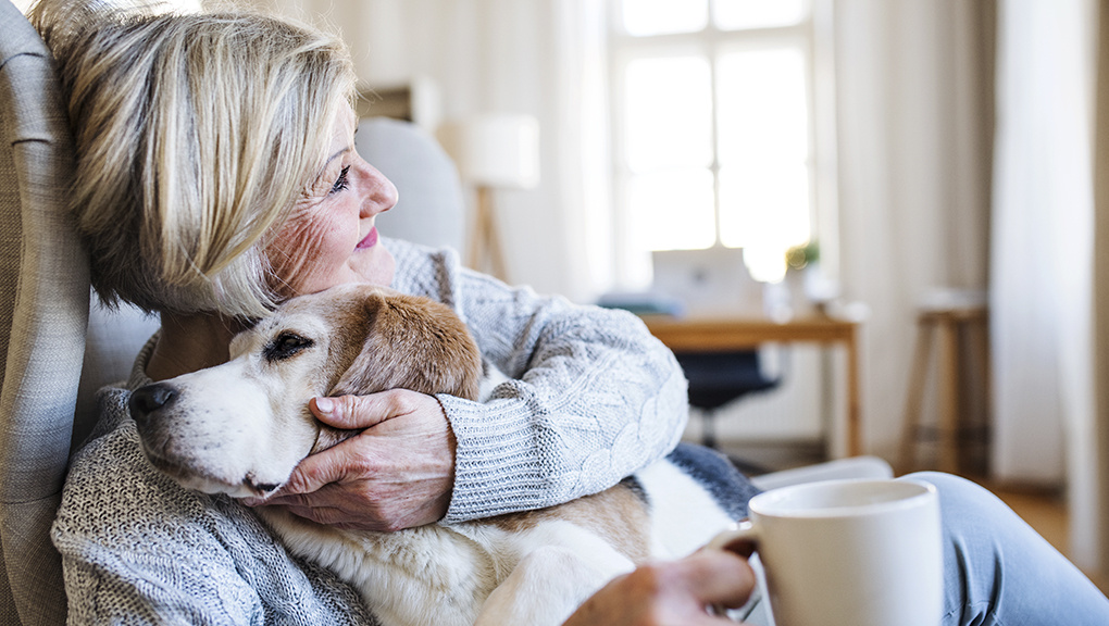 How the Joys of Pet Ownership Can Help Boost Brain Health