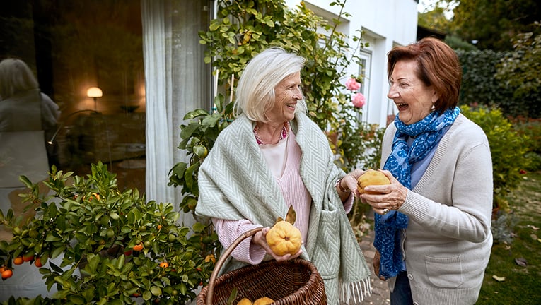 Ease Loneliness and Isolation by Cultivating Greater Social Connection